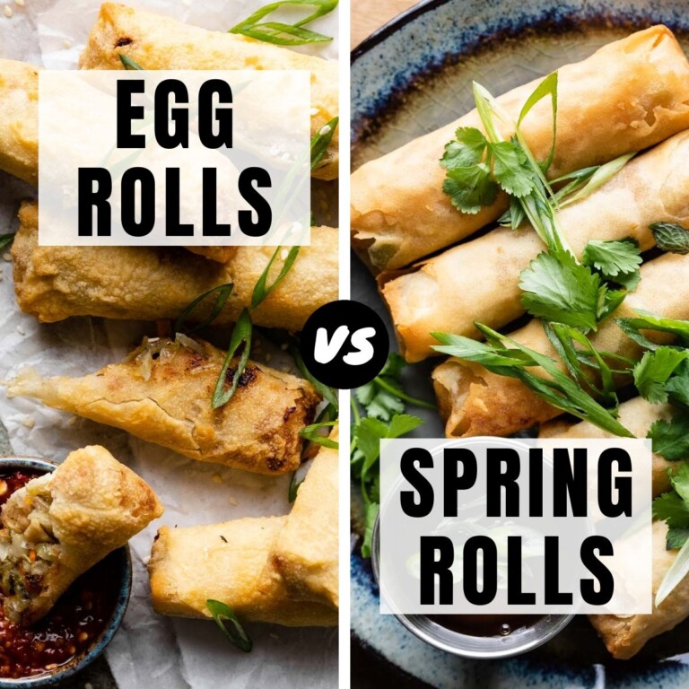 Egg Rolls vs Spring Rolls - Bites with Bri