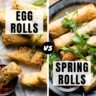 Egg Rolls vs Spring Rolls - Bites with Bri
