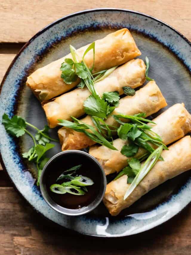 Air Fryer Frozen Spring Rolls - Bites with Bri