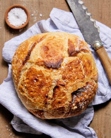 Easy Rustic Bread Recipe (Only 4 Ingredients & No-Knead!) - Bites with Bri