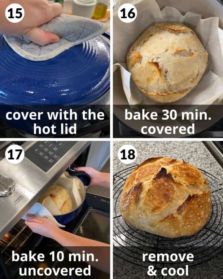 Easy Rustic Bread Recipe (Only 4 Ingredients & No-Knead!) - Bites with Bri