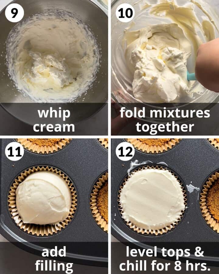 Mini No Bake Cheesecakes - Bites with Bri
