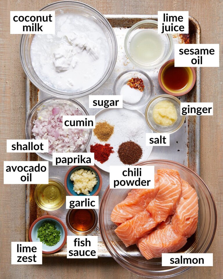 Coconut Lime Salmon - Bites with Bri