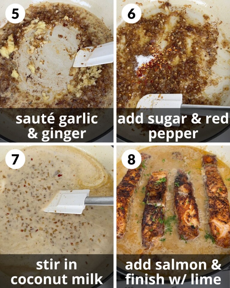 Coconut Lime Salmon - Bites with Bri