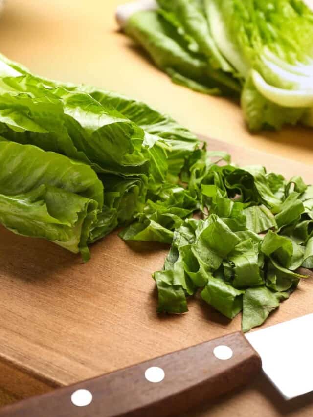 How to Cut Romaine Lettuce for Salad - Bites with Bri