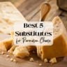 Best 5 Substitutes for Parmesan Cheese (Pasta, Etc.) - Bites with Bri