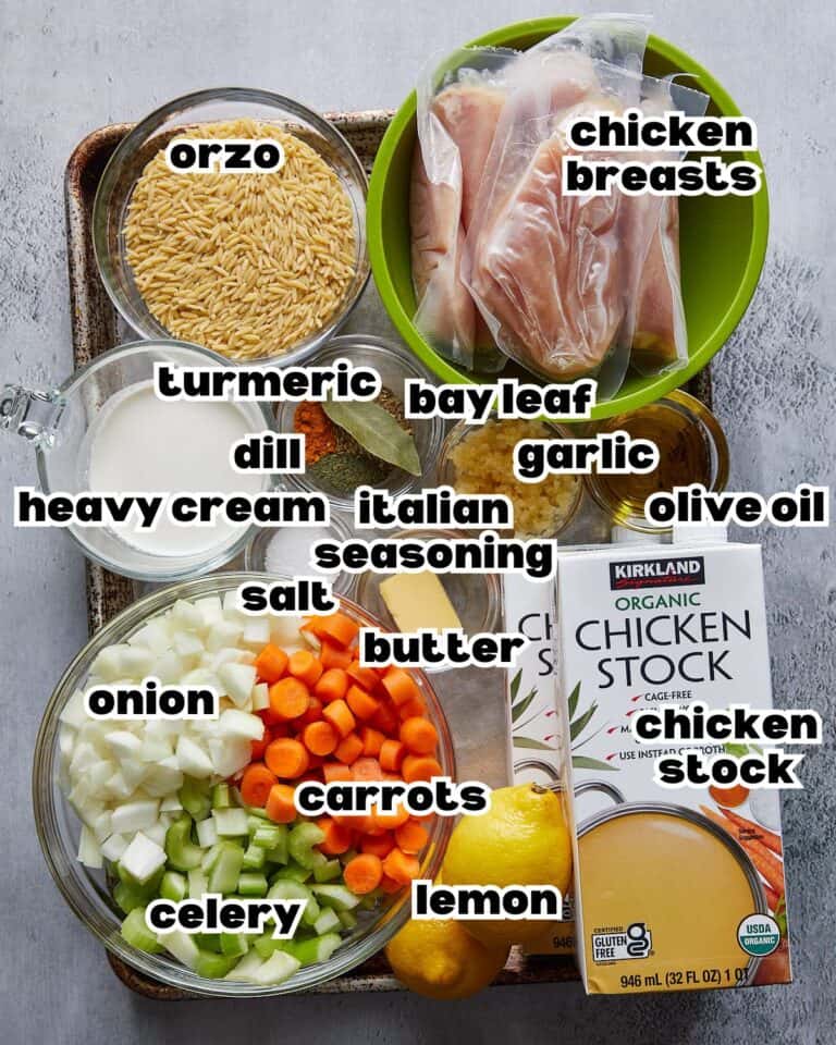 Greek Lemon Chicken Soup with Orzo - Bites with Bri