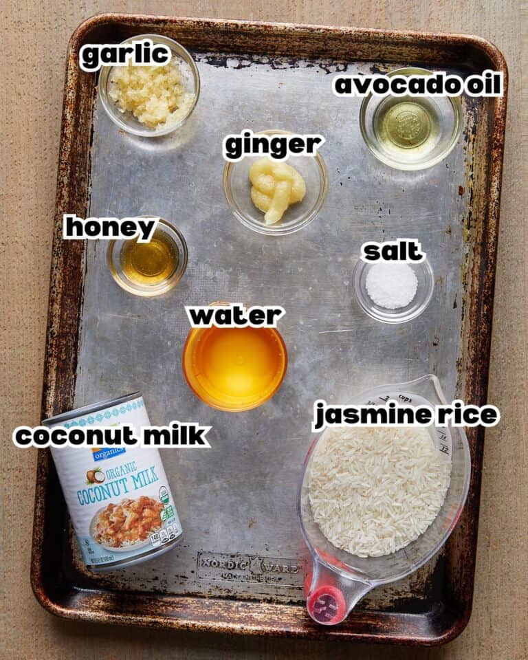 One Pot Coconut Jasmine Rice Recipe - Bites with Bri