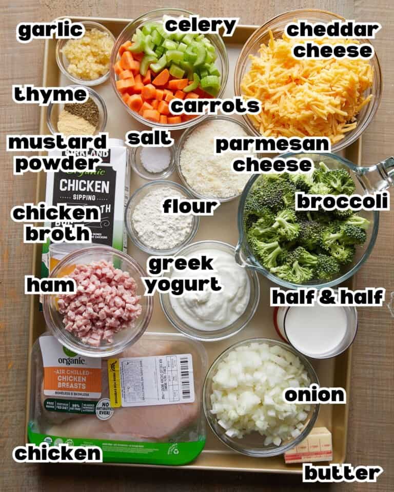 Chicken Broccoli Cheddar Soup (High Protein) - Bites with Bri